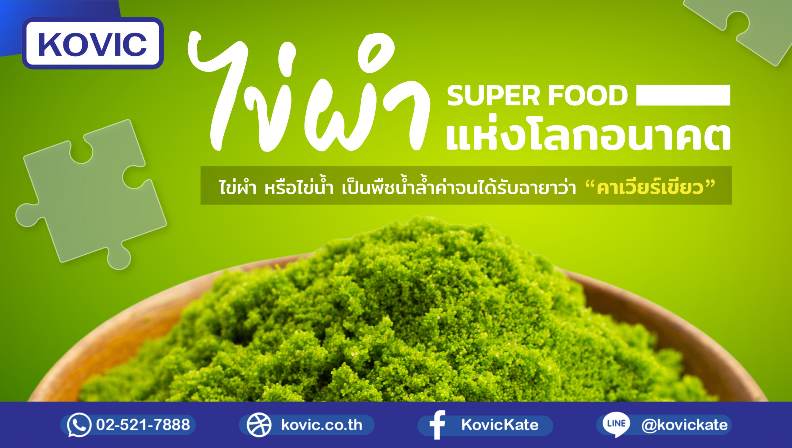 Wolffia Super Food แห่งโลกอนาคต - ผลิตอาหารเสริม-รับผลิตอาหารเสริม-OEM ...