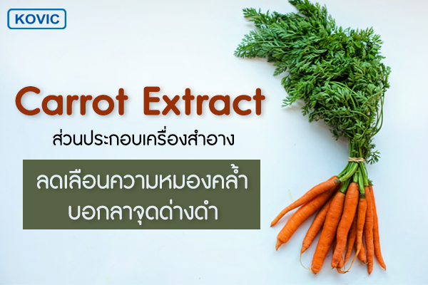 Carrot Extract ส่วนประกอบเครื่องสำอาง