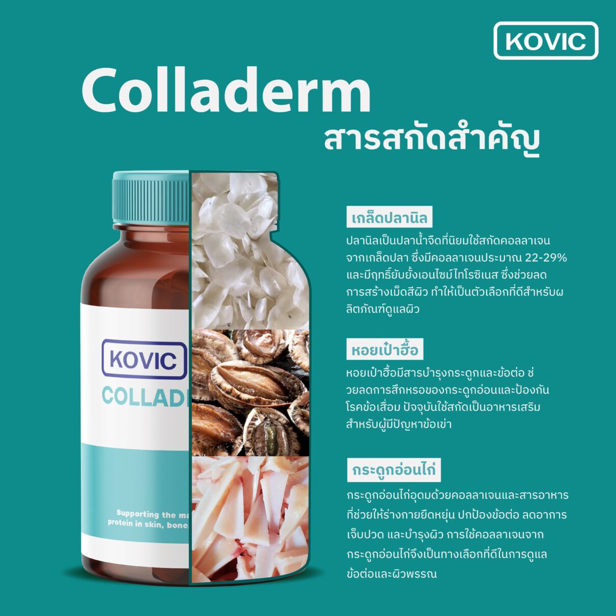 Colladerm เสริมสร้างโครงสร้างหลักของโปรตีนด้วยคอลลาเจน - ผลิตอาหารเสริม ...
