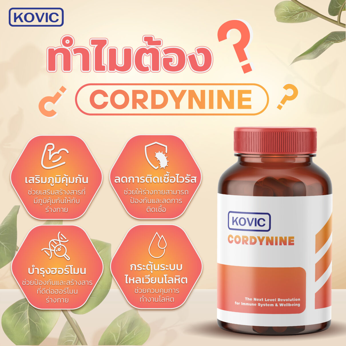 Cordynine ยกระดับระบบภูมิคุ้มกันและความเป็นอยู่ที่ดี - ผลิตอาหารเสริม ...
