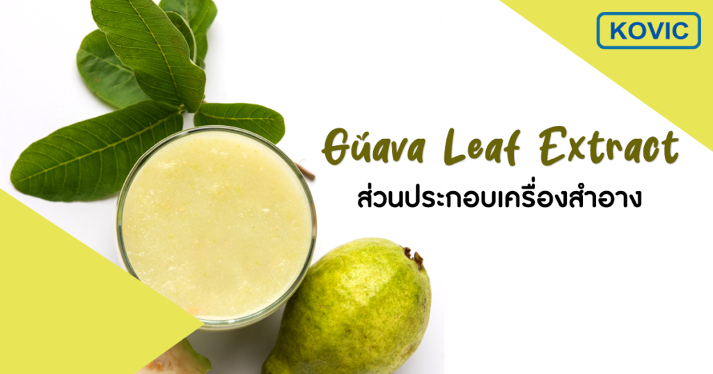 Guava Leaf Extract ส่วนประกอบเครื่องสำอาง