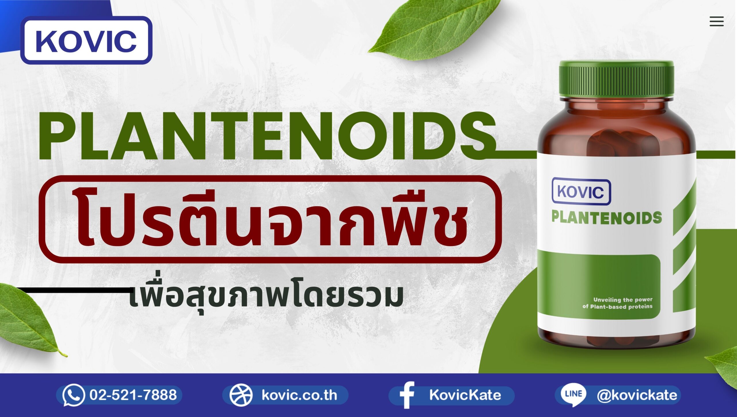 Plantenoids โปรตีนจากพืชเพื่อสุขภาพโดยรวม - ผลิตอาหารเสริม-รับผลิตอาหาร ...