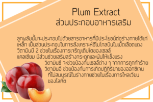 Plum Extract ส่วนประกอบของอาหารเสริม - ผลิตอาหารเสริม-รับผลิตอาหารเสริม ...