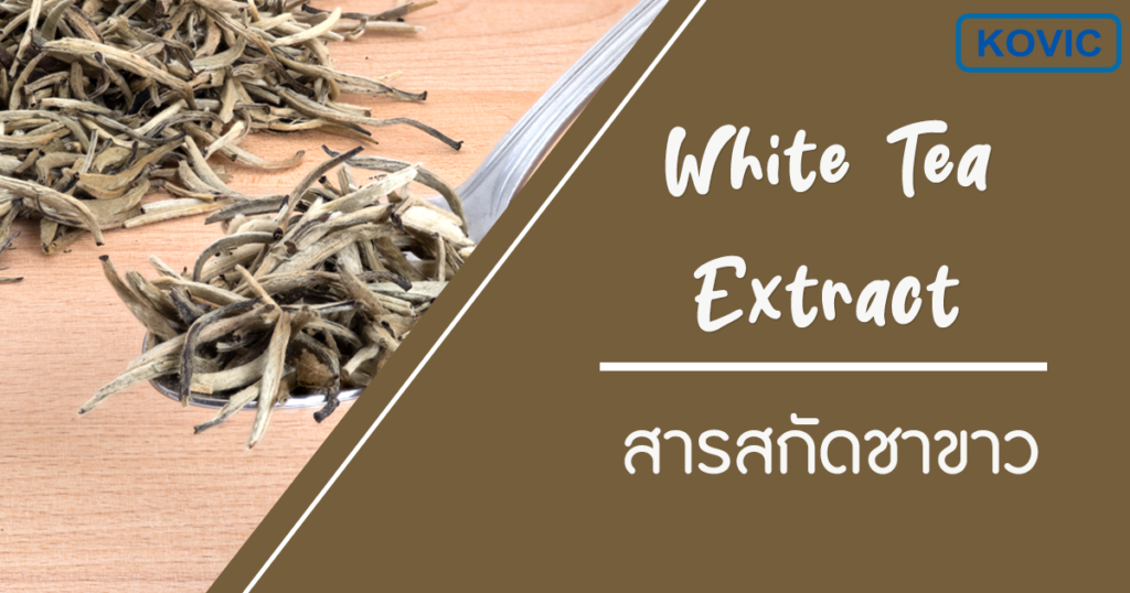 White Tea Extract