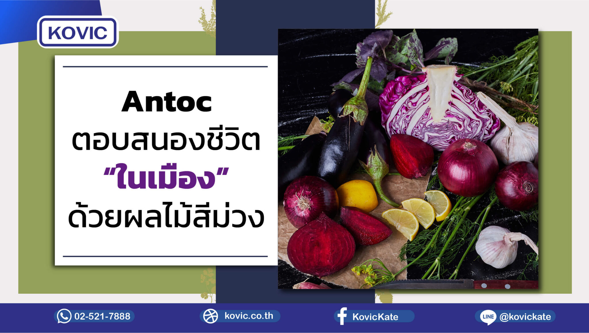 Antoc ตอบสนองชีวิตในเมืองด้วยผลไม้สีม่วง - ผลิตอาหารเสริม-รับผลิตอาหาร ...