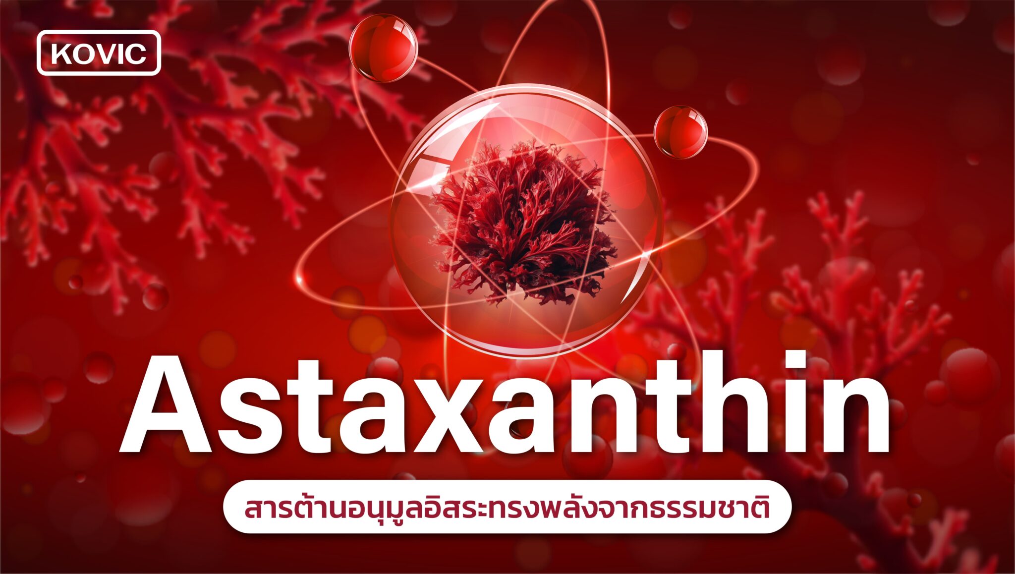 Astaxanthin สารต้านอนุมูลอิสระทรงพลังจากธรรมชาติ