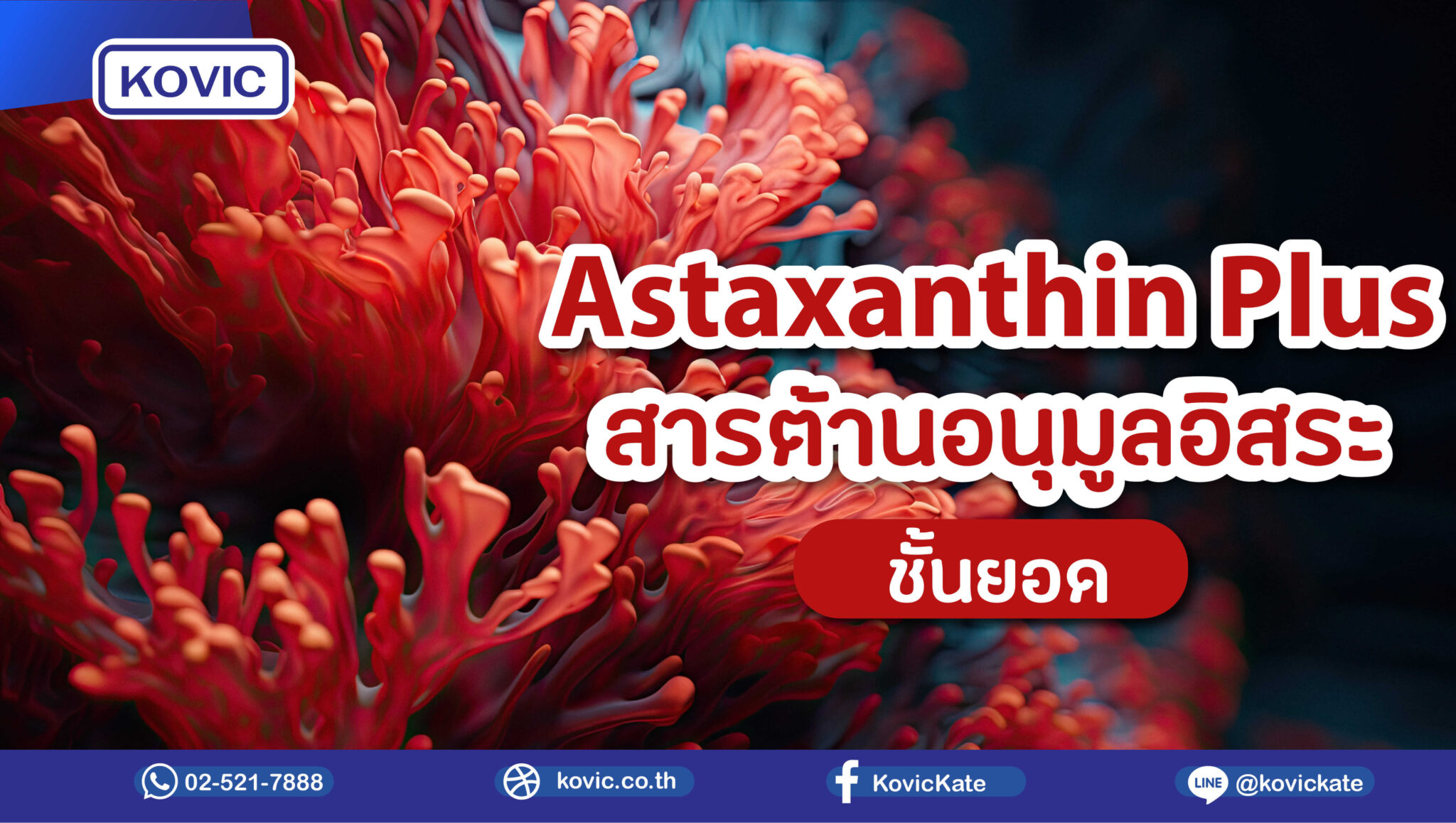 Astaxanthin Plus สารต้านอนุมูลอิสระชั้นยอด - ผลิตอาหารเสริม-รับผลิต ...