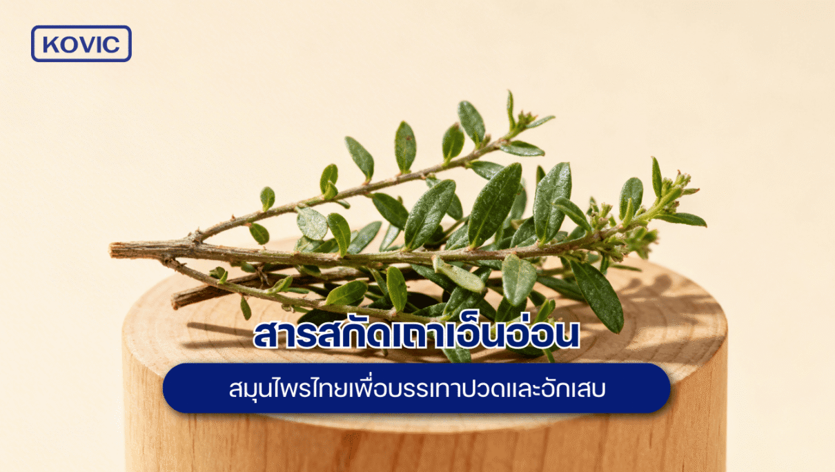 สารสกัดเถาเอ็นอ่อน สมุนไพรไทยเพื่อบรรเทาปวดและอักเสบ - ผลิตอาหารเสริม ...