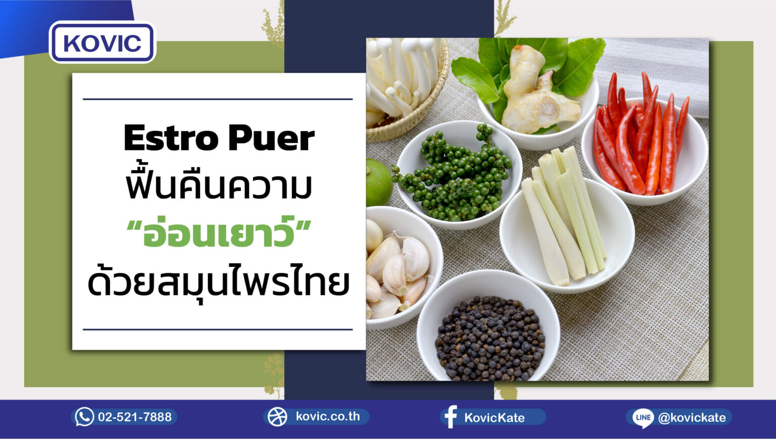 Estro Puer ฟื้นคืนความอ่อนเยาว์ด้วยสมุนไพรไทย