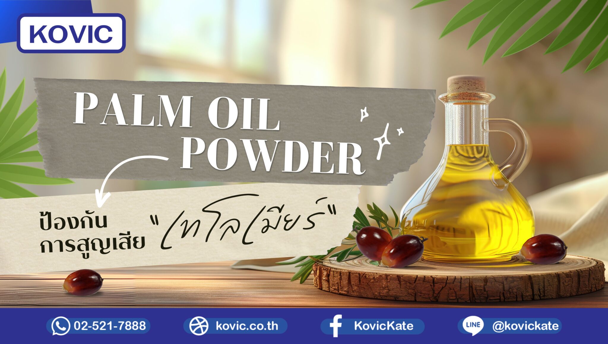 Palm Oil Powder ป้องกันการสูญเสียเทโลเมียร์ - ผลิตอาหารเสริม-รับผลิต ...