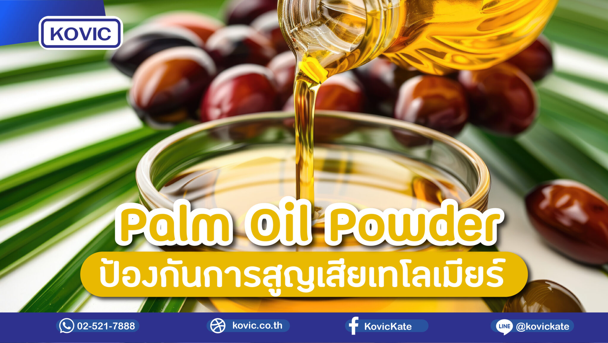 Palm Oil Powder ป้องกันการสูญเสียเทโลเมียร์ - ผลิตอาหารเสริม-รับผลิต ...